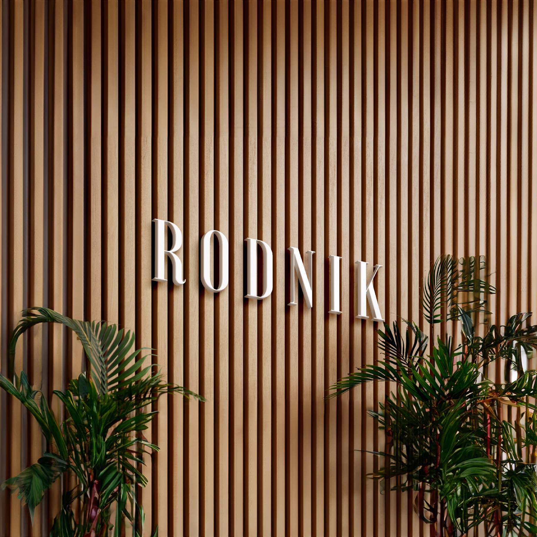 RODNIK ACCOUNTING | Profesionálne účtovné služby